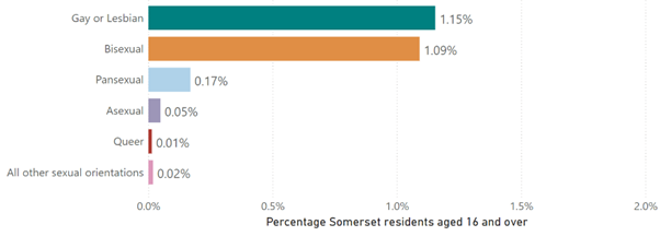 Census 2021: sexual orientation and gender identity - Somerset ...